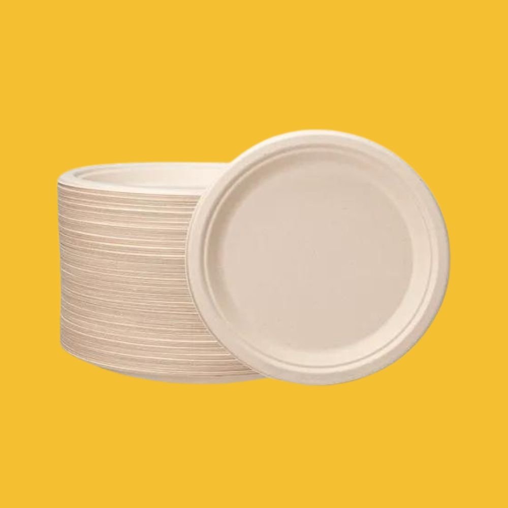 Sugarcane Plate 9" each | Set Catering