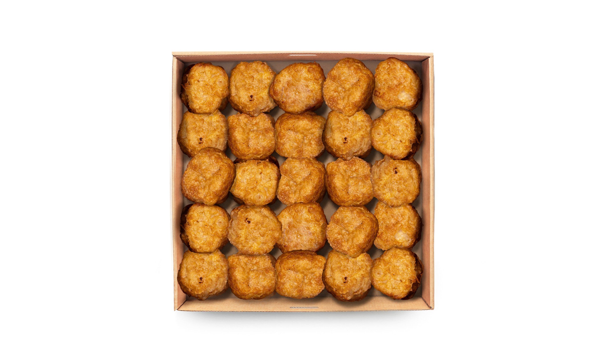 Chinese Fried Pork Dim Sim