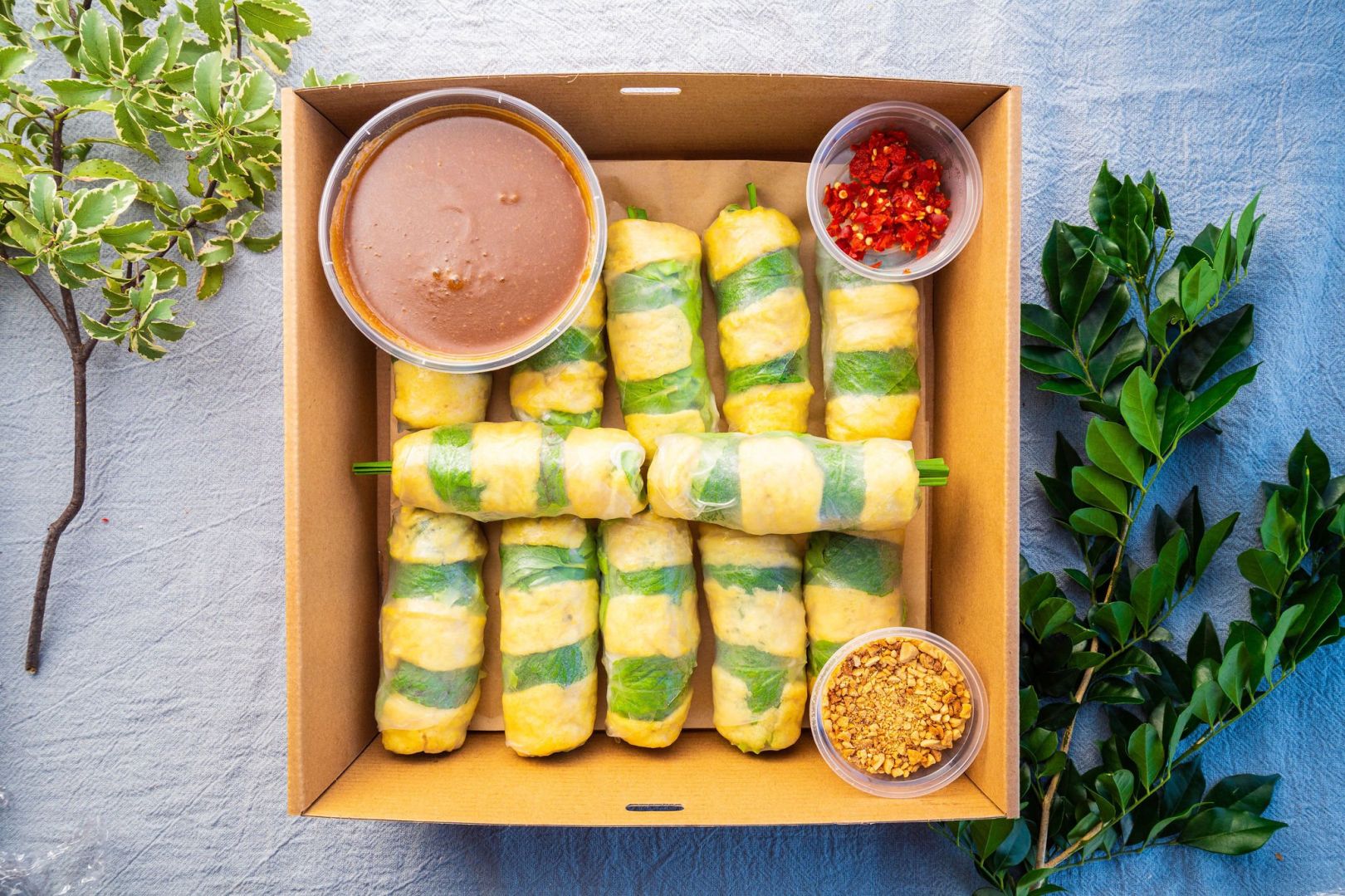 Vegetarian Summer Rolls