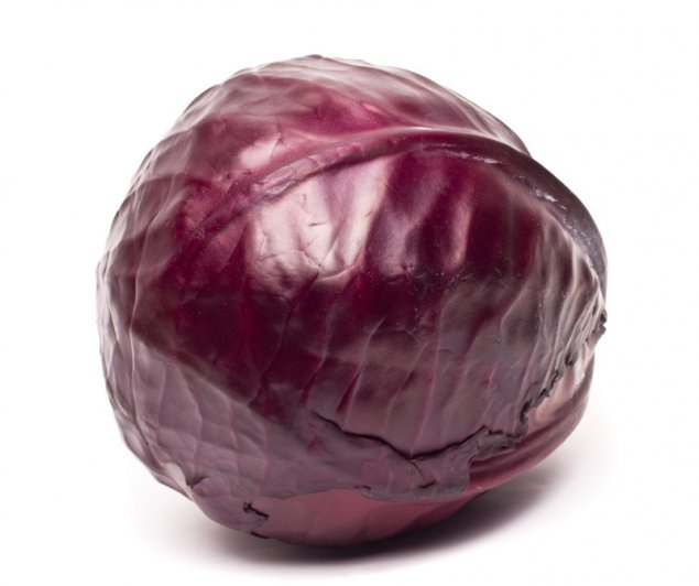 Cabbage Red Each
