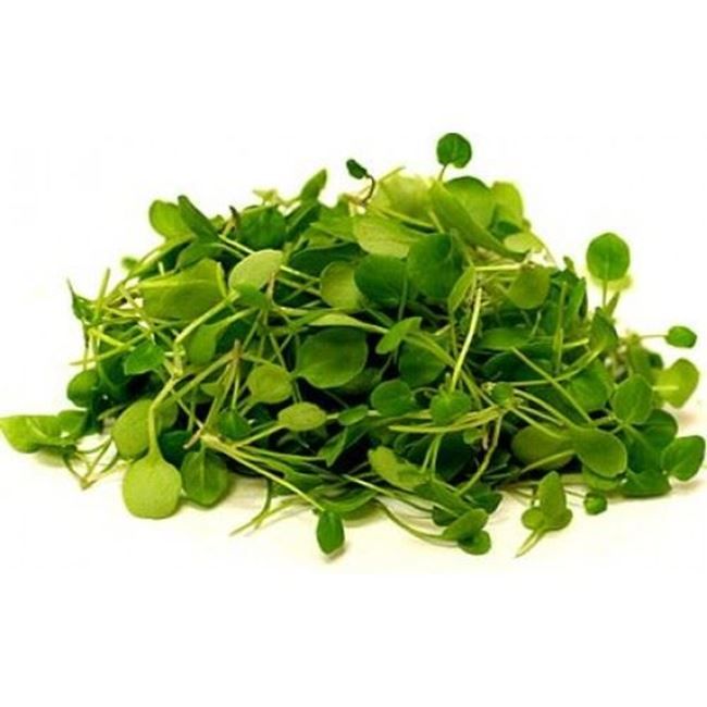 Micro Herb Upland Cress Punnet