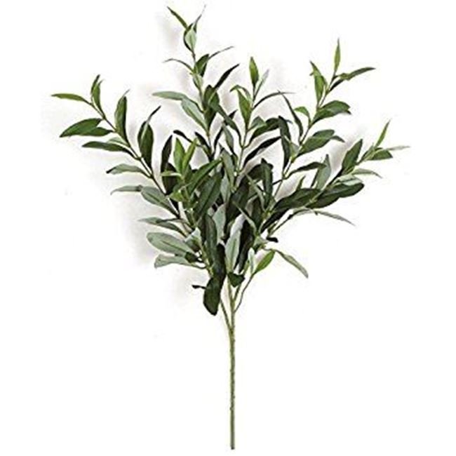 Olive Branch Bunch