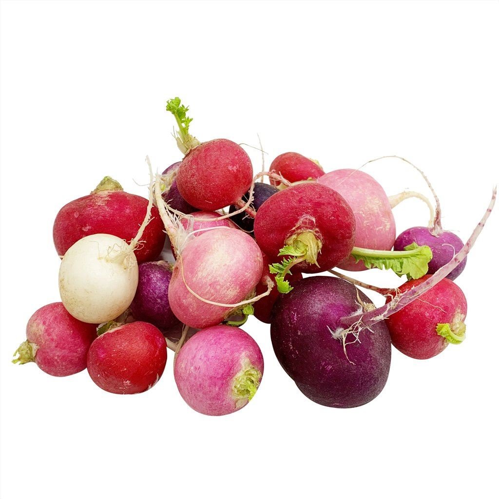 Leaf Radish Rainbow Bunch
