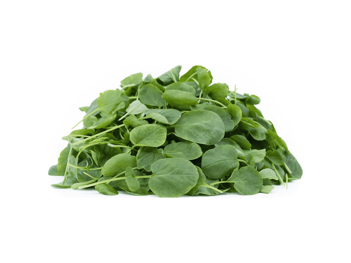 Petite Leaf Watercress Punnet