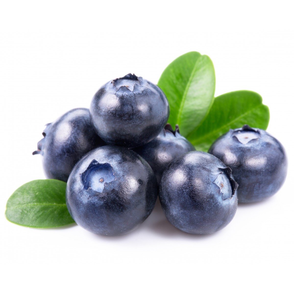 Blueberry Premium Punnet