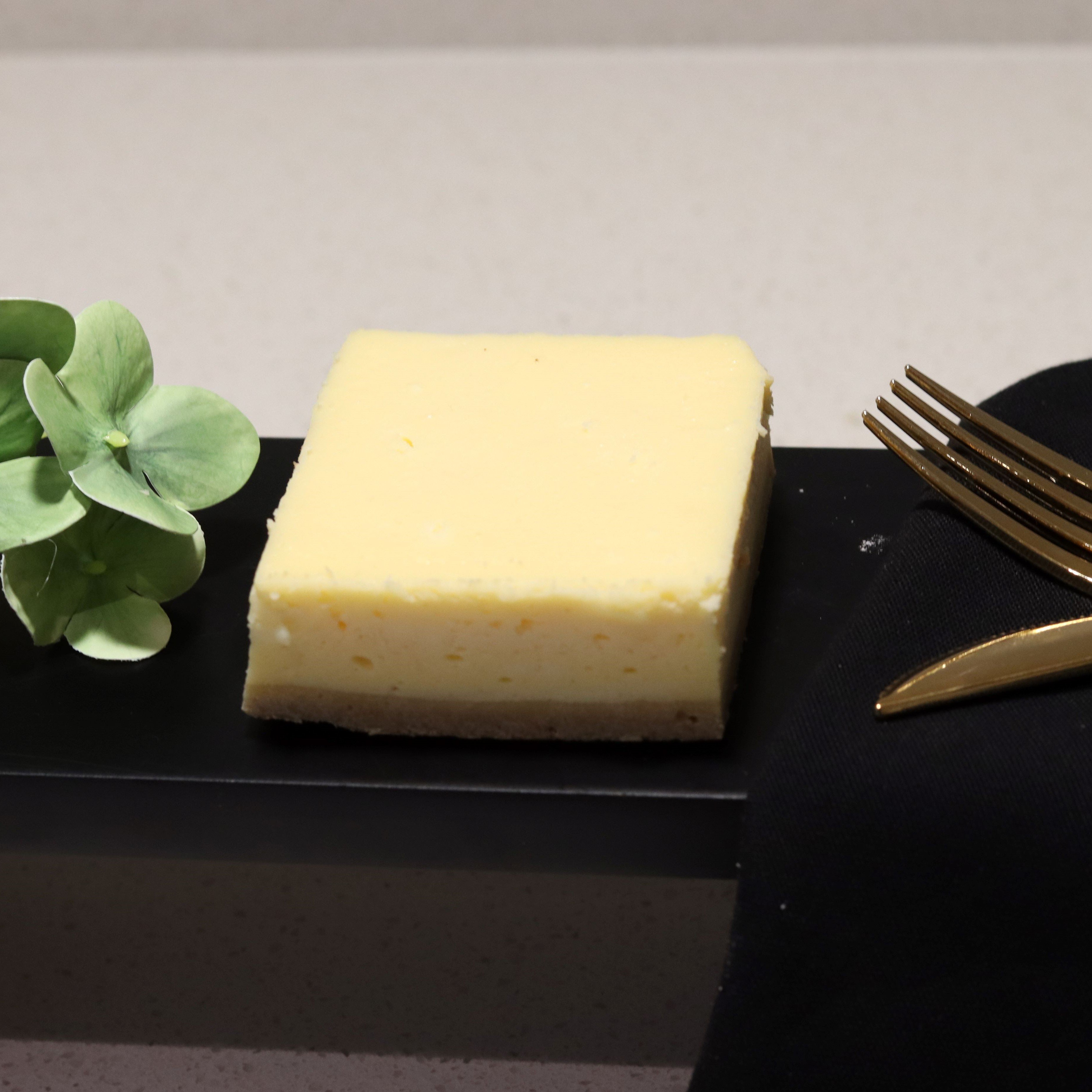 Plain Cheese Slice