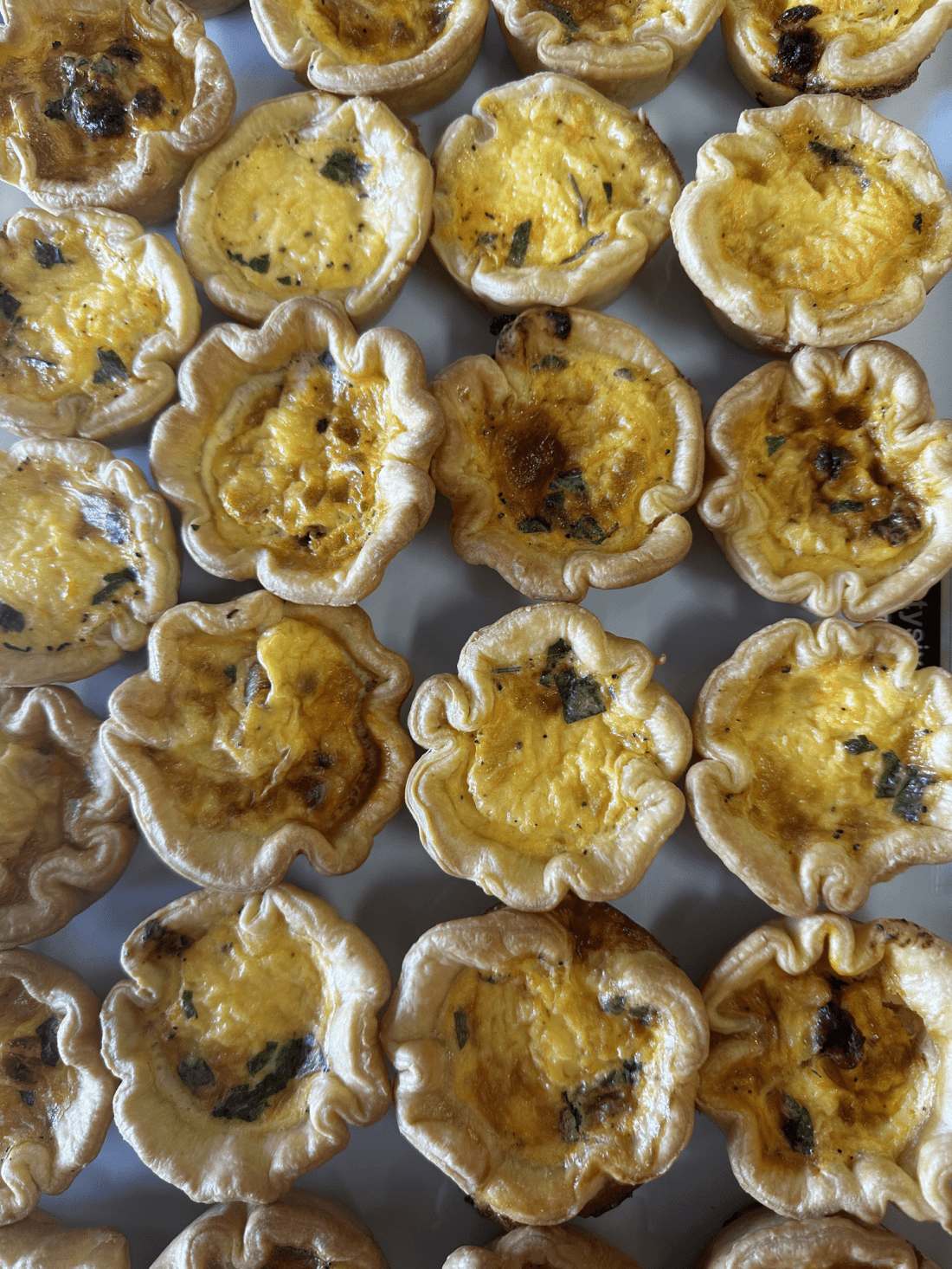 Savoury Tartlets - Smoked Chicken, Sun-Dried Tom Pesto